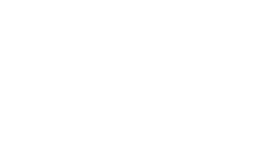 RepairCompanion